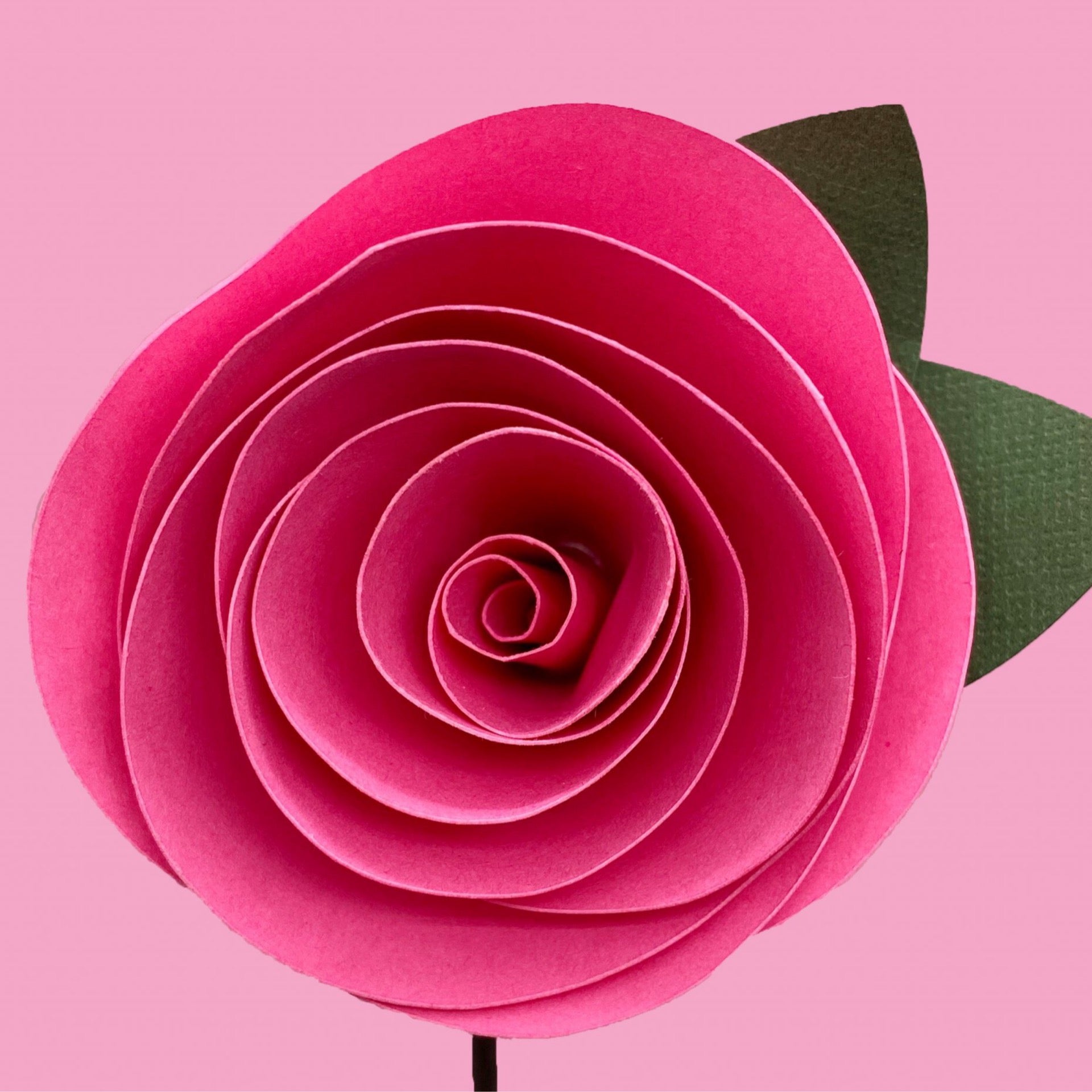 Rose | Love, Anji - Paper Florist